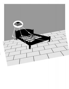 Detecting Bed Bugs | SenSci